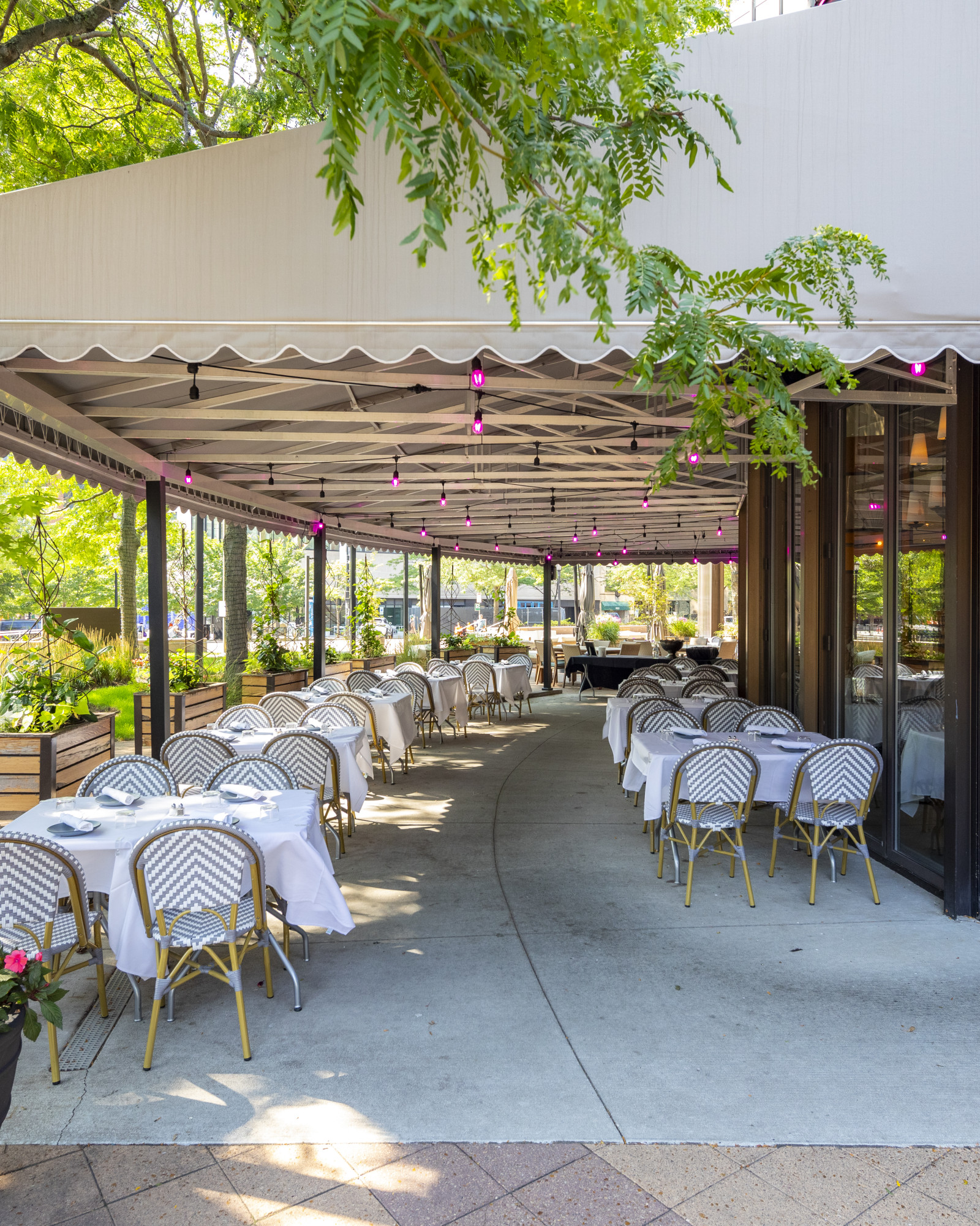 Orrington Plaza | Homepage